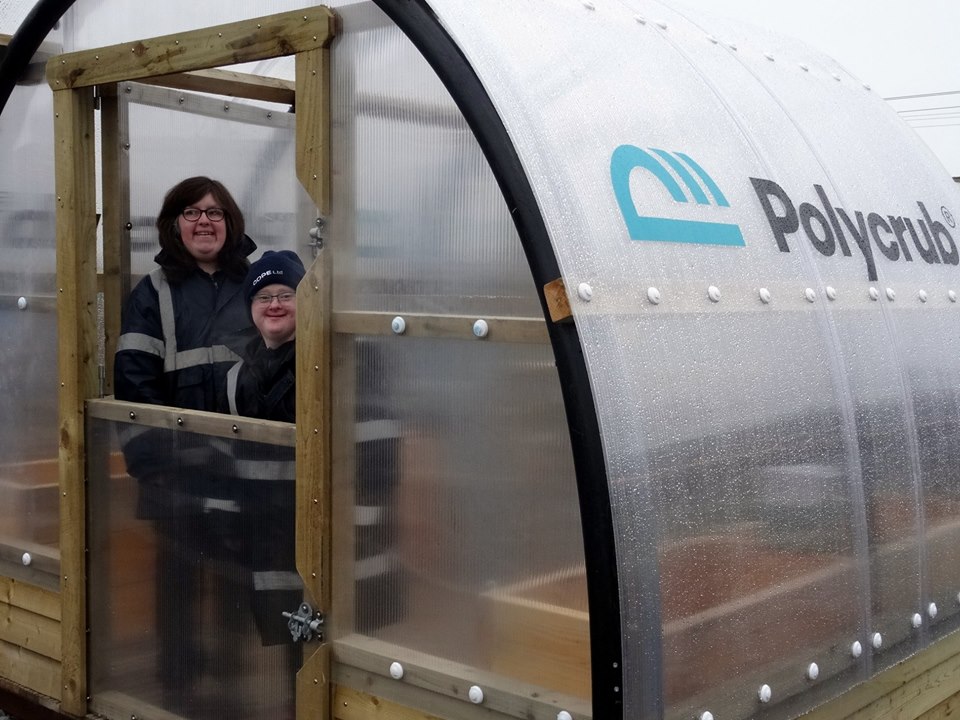 Polycrub Blog – News, Growing Tips & Customer Stories