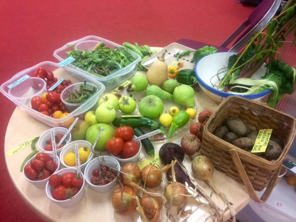 Reasons to Buy a Polycrub – Strength, Value & All-Weather Growing