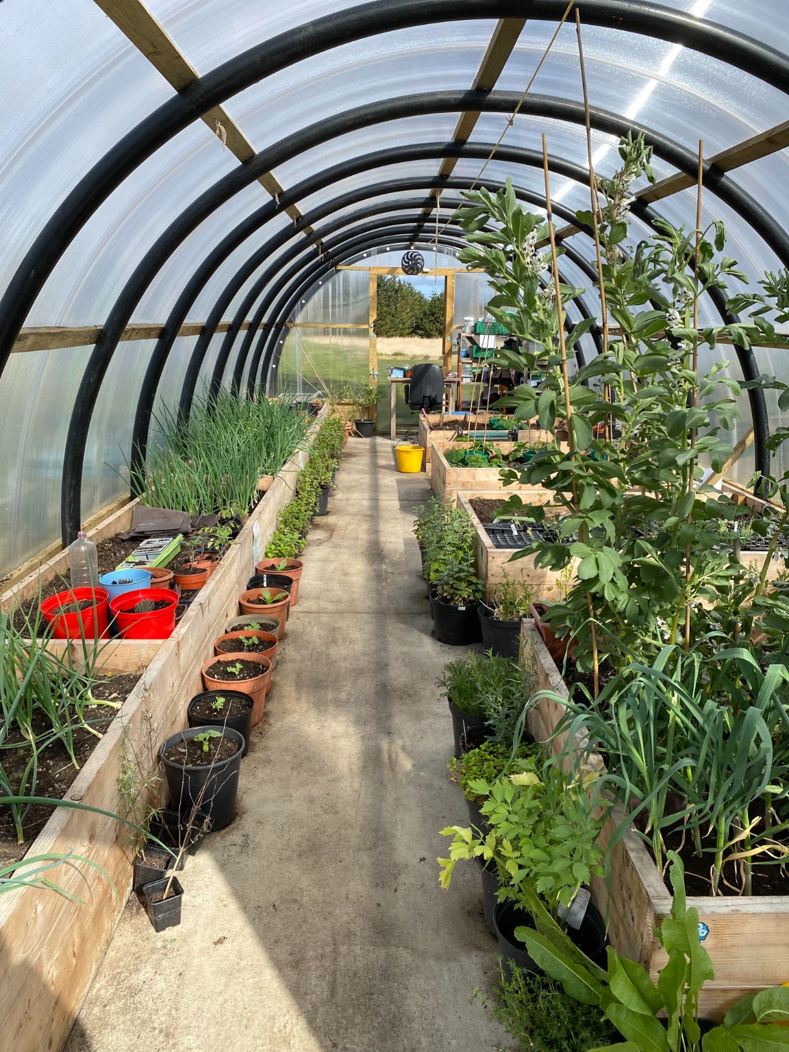 Macaulay College | Polycrub